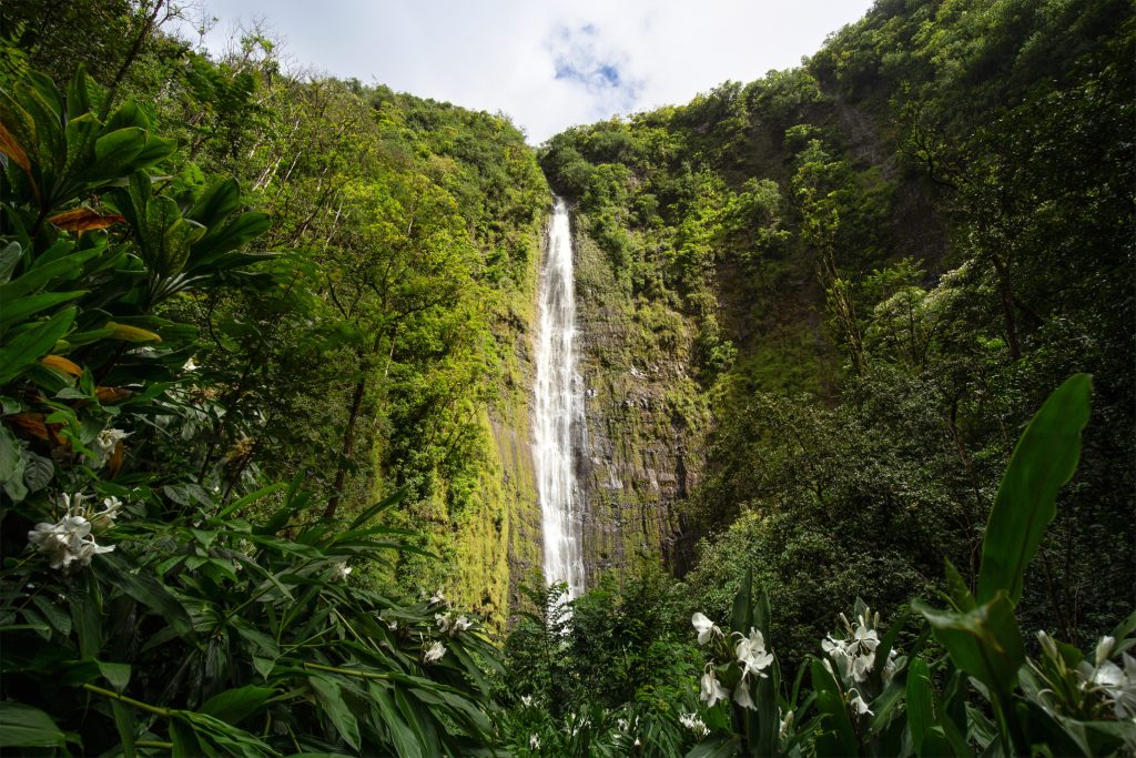 Winter in Maui: Experience Paradise with Air Maui Tours