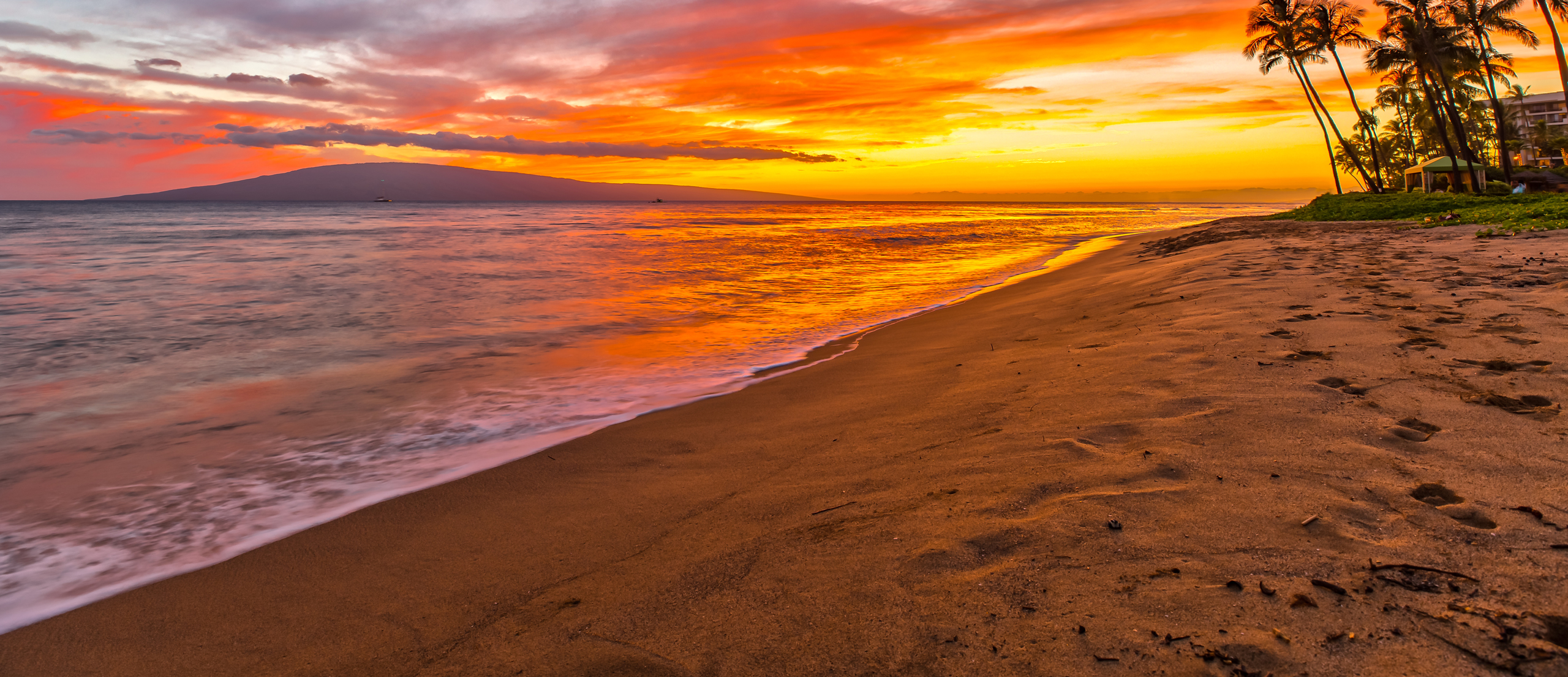 The Best Maui Beaches: Explore the Sand & Shorelines | Air Maui Helicopters